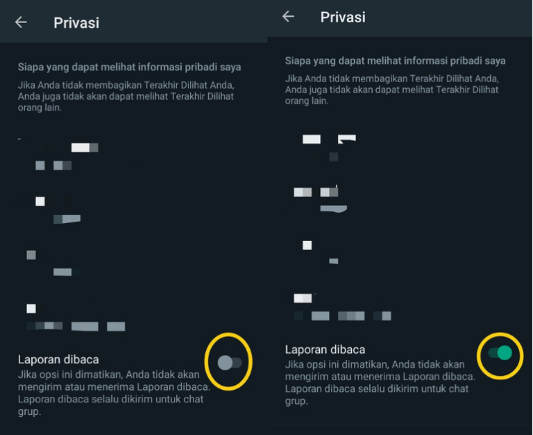 Cara Mengaktifkan Centang Biru WhatsApp di Android & iPhone - PintarTekno